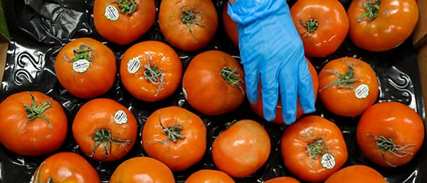 Nutrition | College of Health | Oregon State University