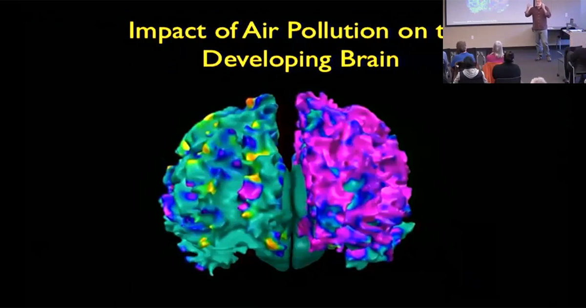 Little Things Matter: The Impact of Toxic Chemicals on our Health ...