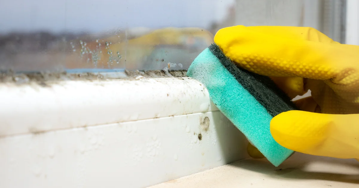 How to get rid of mold in my home? | ASPIRE Children’s Environmental ...